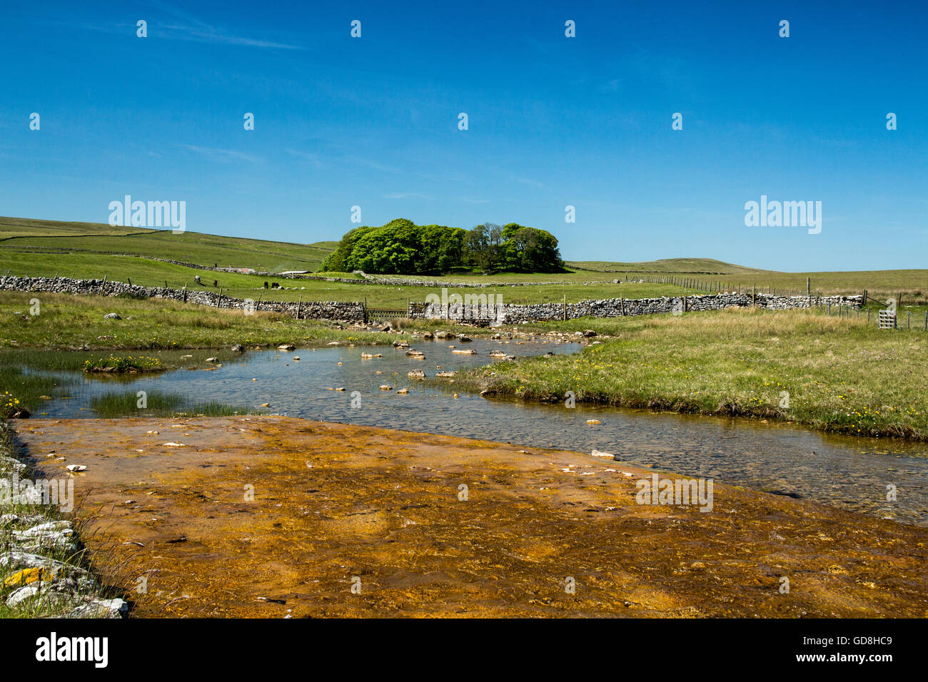 malham tarn yorkshire uk Stock Photo - Alamy