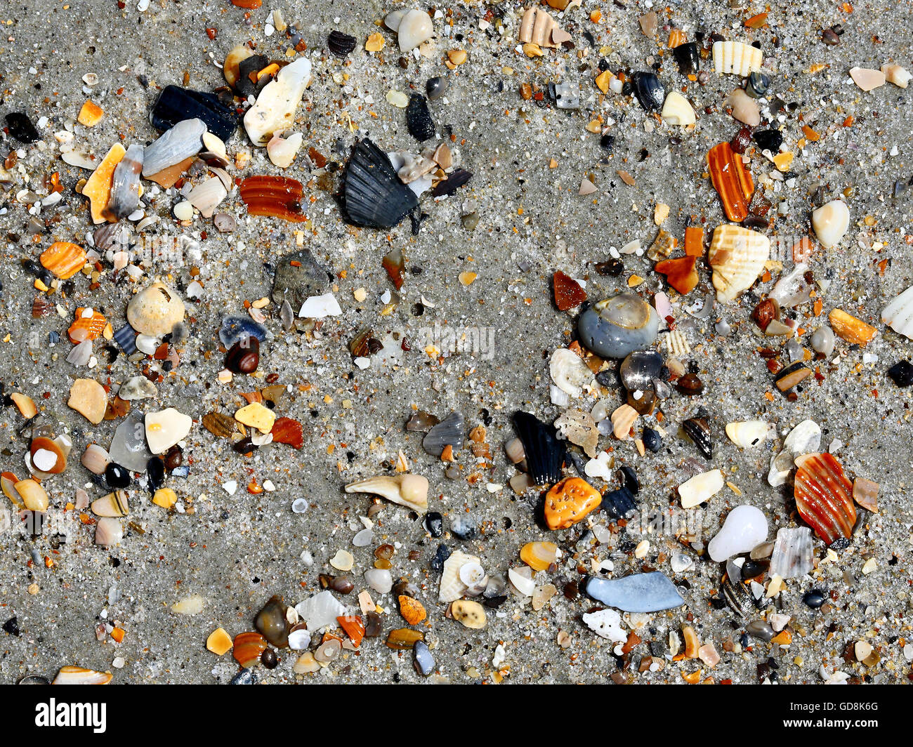 Assorted small broken seashells on beach sand Stock Photo - Alamy
