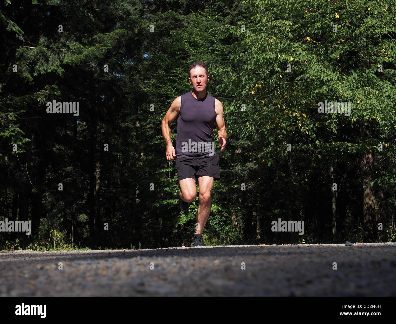 Athletic man runner running on country road through forest Stock Photo - Alamy