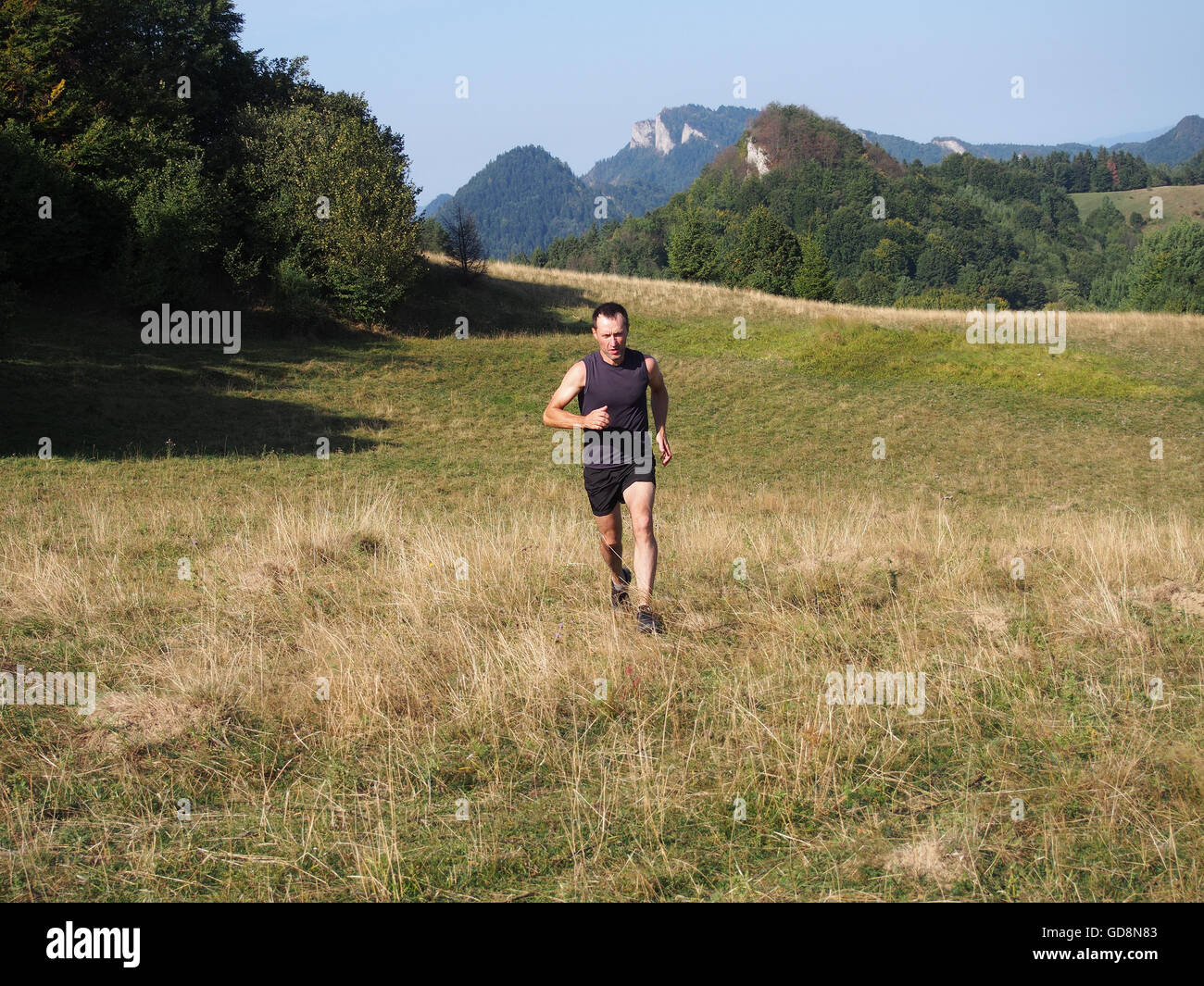 Fell running. Caucasian male runner in mountains. Summer, Pieniny ...