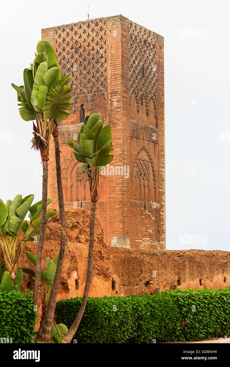 The Hassan Tower in Rabat, Morocco Stock Photo - Alamy