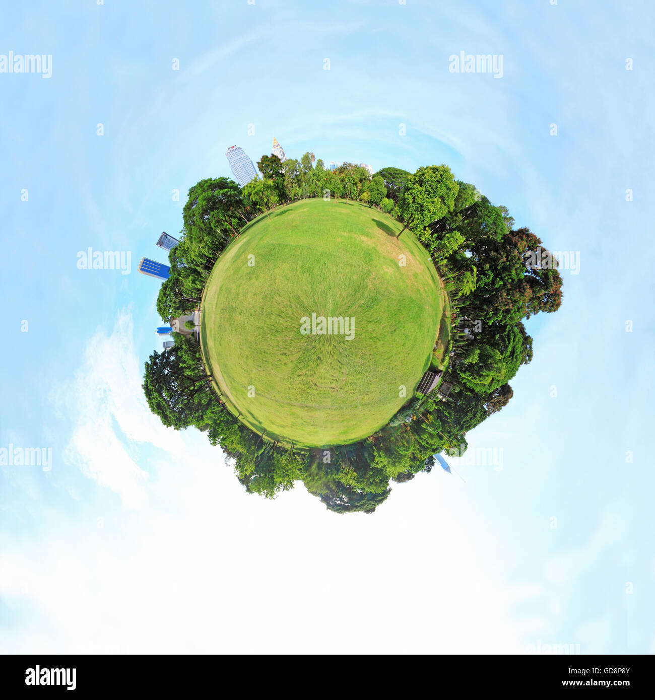 Circle panorama of forest Stock Photo - Alamy