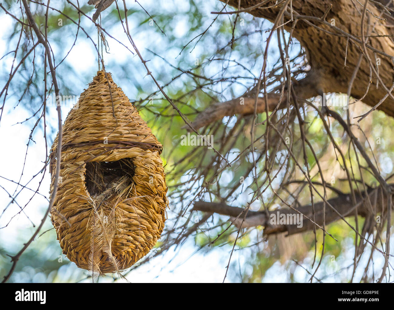 Al Dosari Zoo in Doha, Qatar Stock Photo - Alamy
