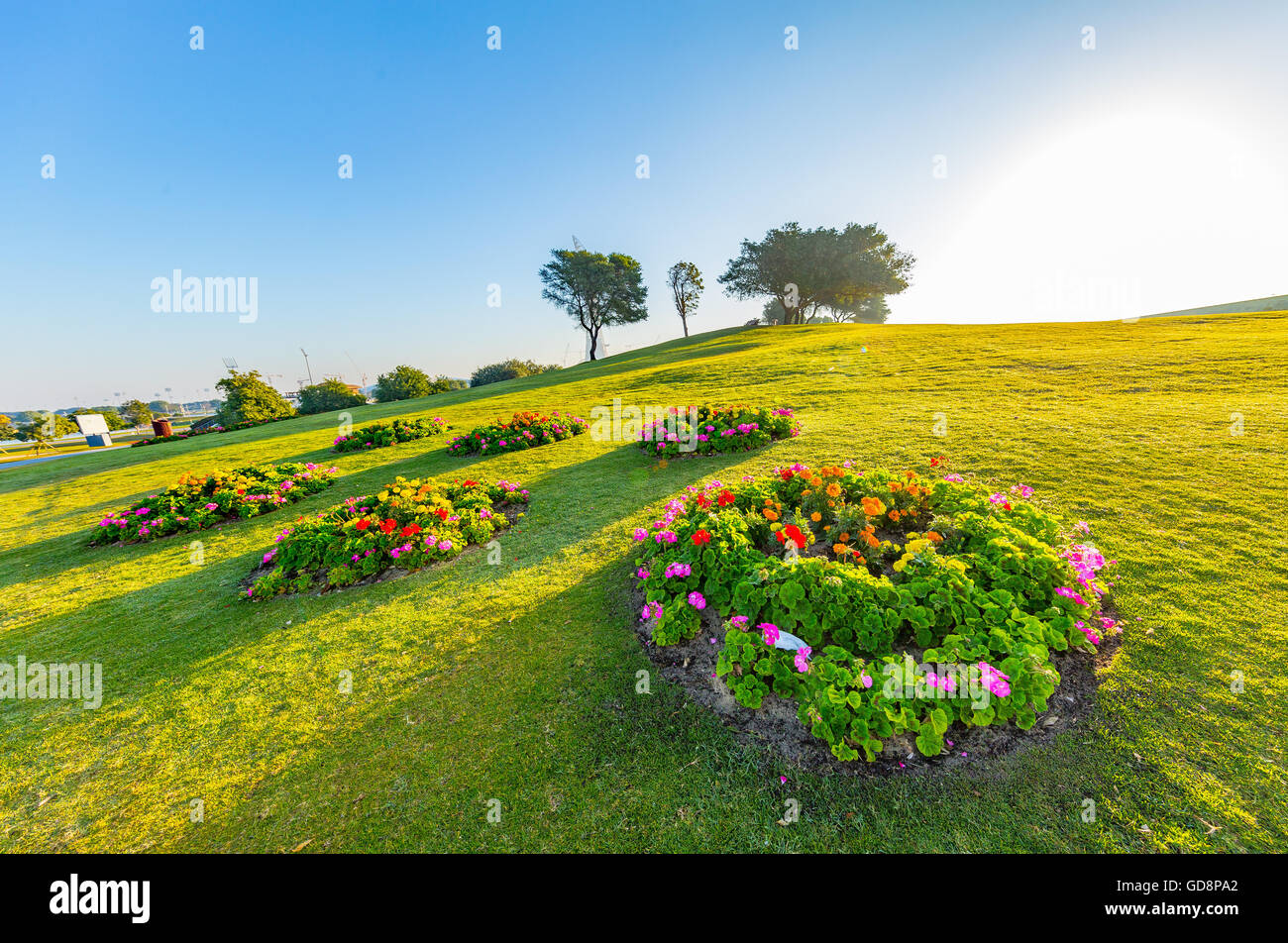 Aspire Park in Doha, Qatar Stock Photo - Alamy