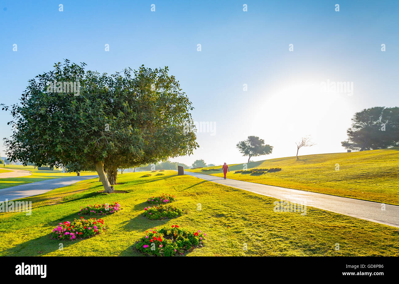 Aspire Park in Doha, Qatar Stock Photo - Alamy