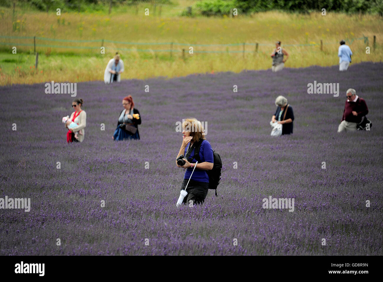 Lordington farm hi-res stock photography and images - Alamy