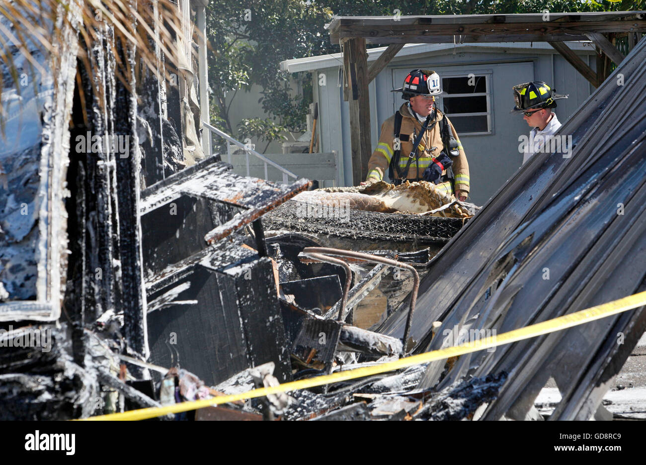 Hog palm hi-res stock photography and images - Alamy