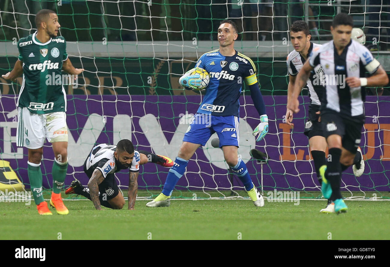 The goalkeeper Fernando Prass, the SE Palmeiras in the match against ...