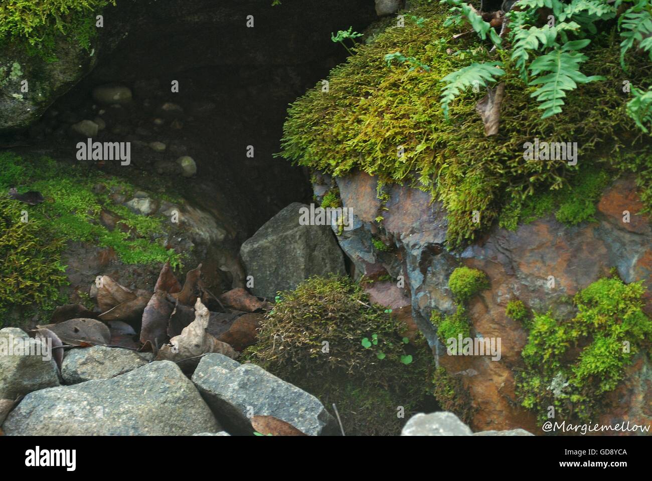 Funny how darkness makes thing a tad bit better Stock Photo - Alamy