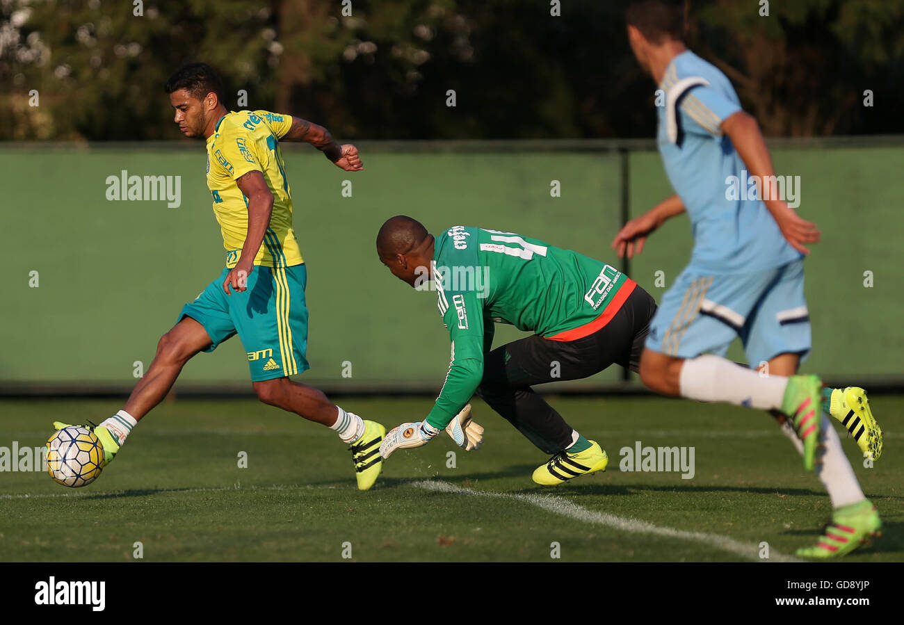The player Cleiton Xavier and goalkeeper Jailson (D), the SE Palmeiras ...