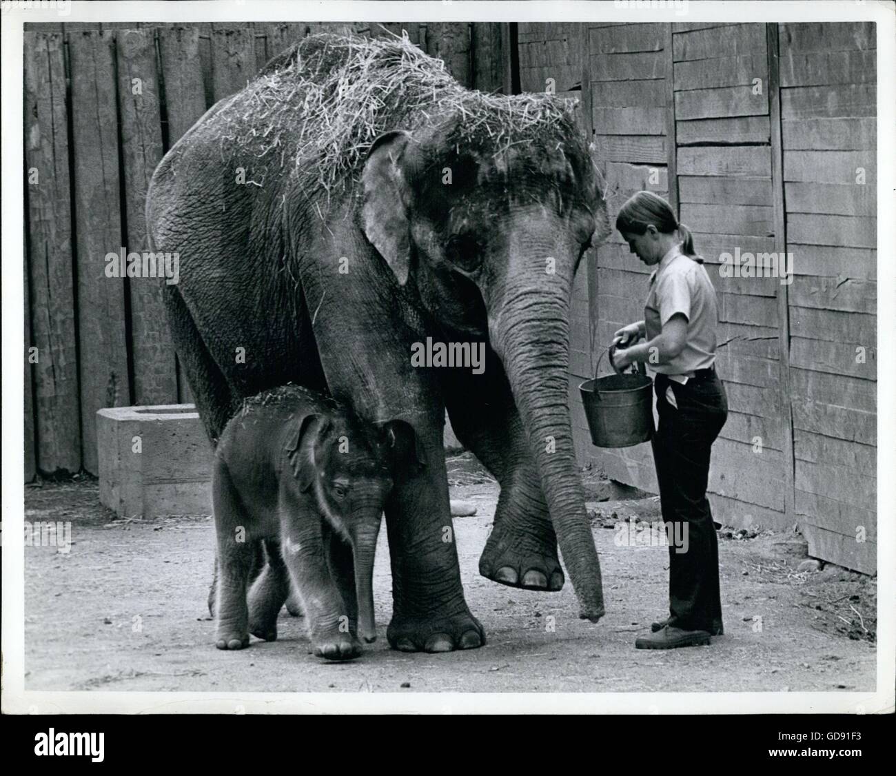 Zoo keeper feed hi-res stock photography and images - Alamy