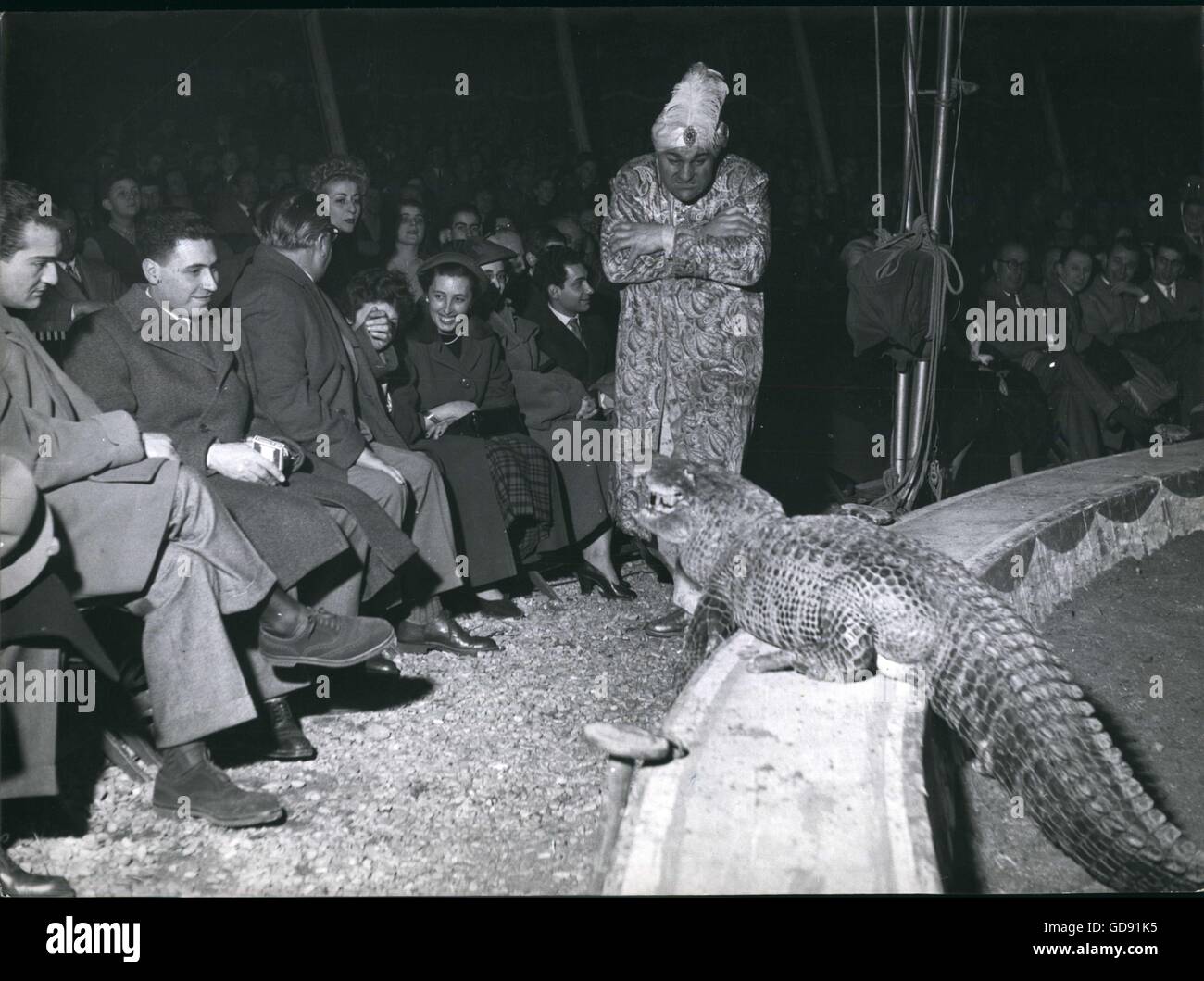 Alligator show hi-res stock photography and images - Alamy