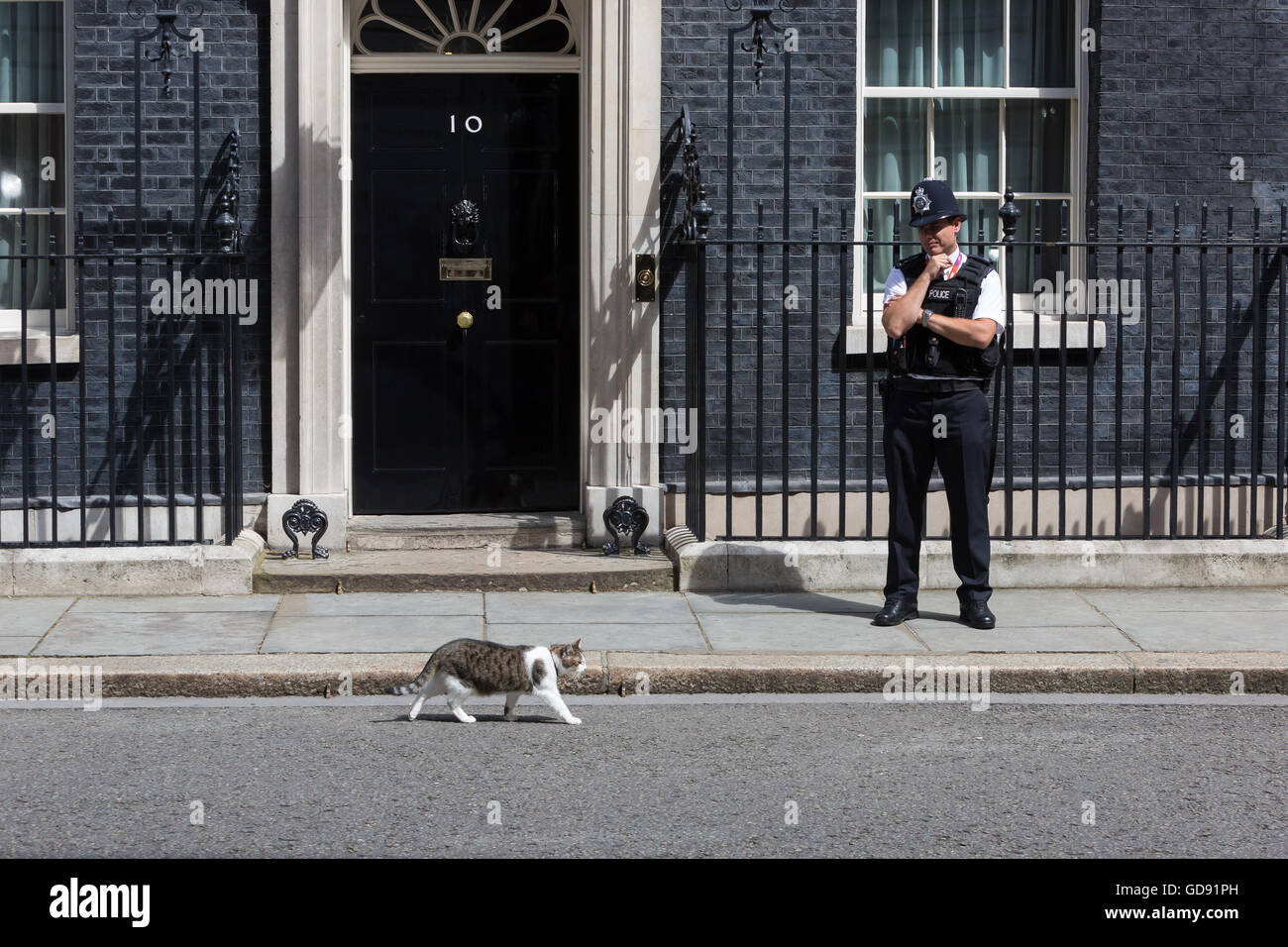 Larry the cat david cameron hi-res stock photography and images - Alamy