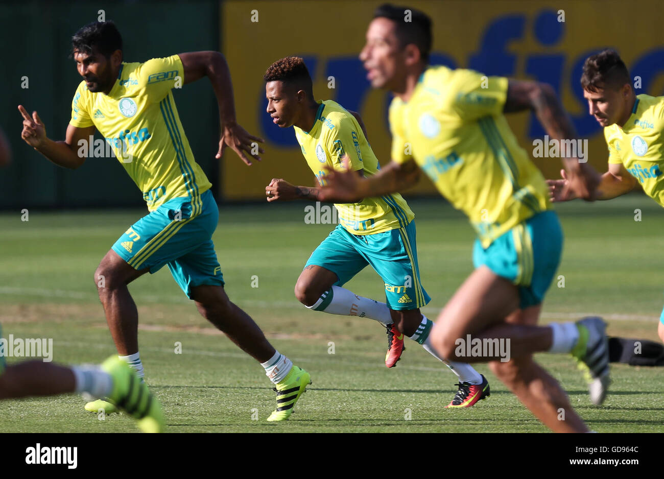 The Tche Tche player, SE Palmeiras, during training, the Football ...