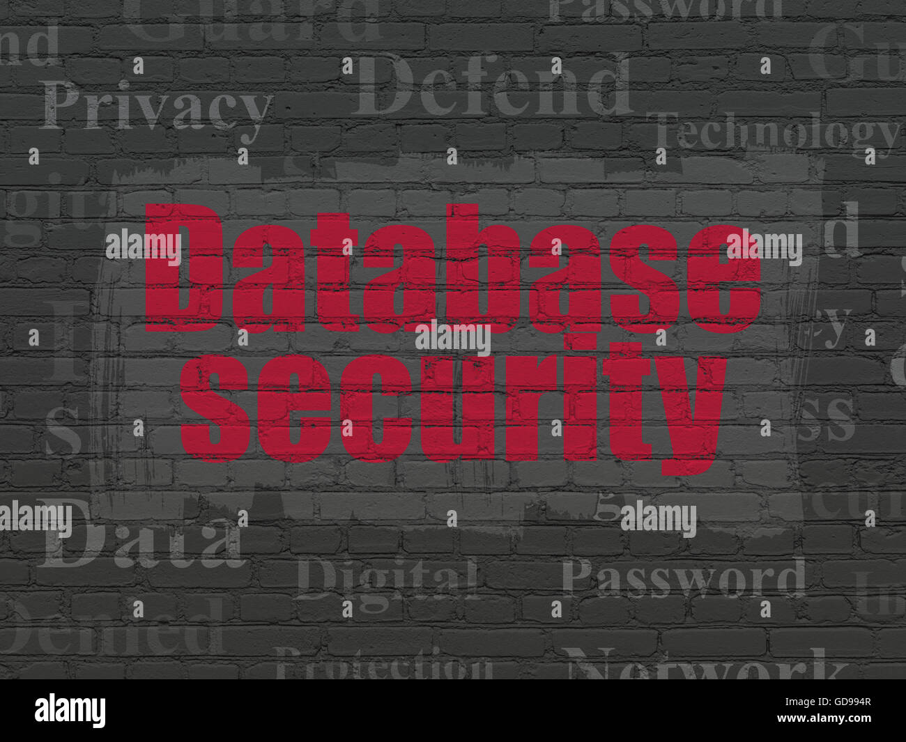 Protection concept: Database Security on wall background Stock Photo ...
