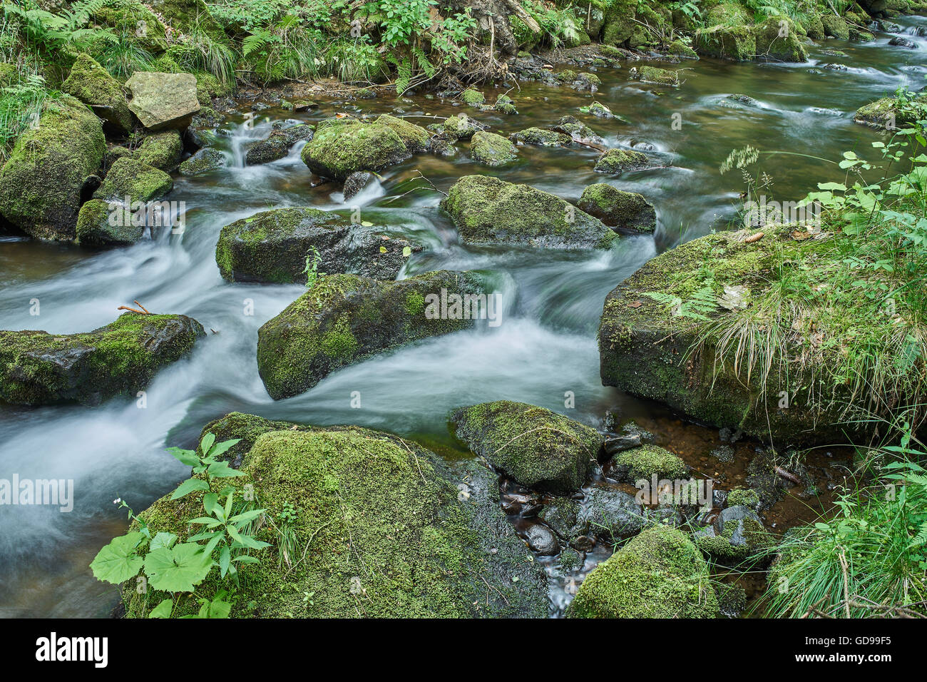 Mountain river in summer green mossy stones boulders logs flowing water ...