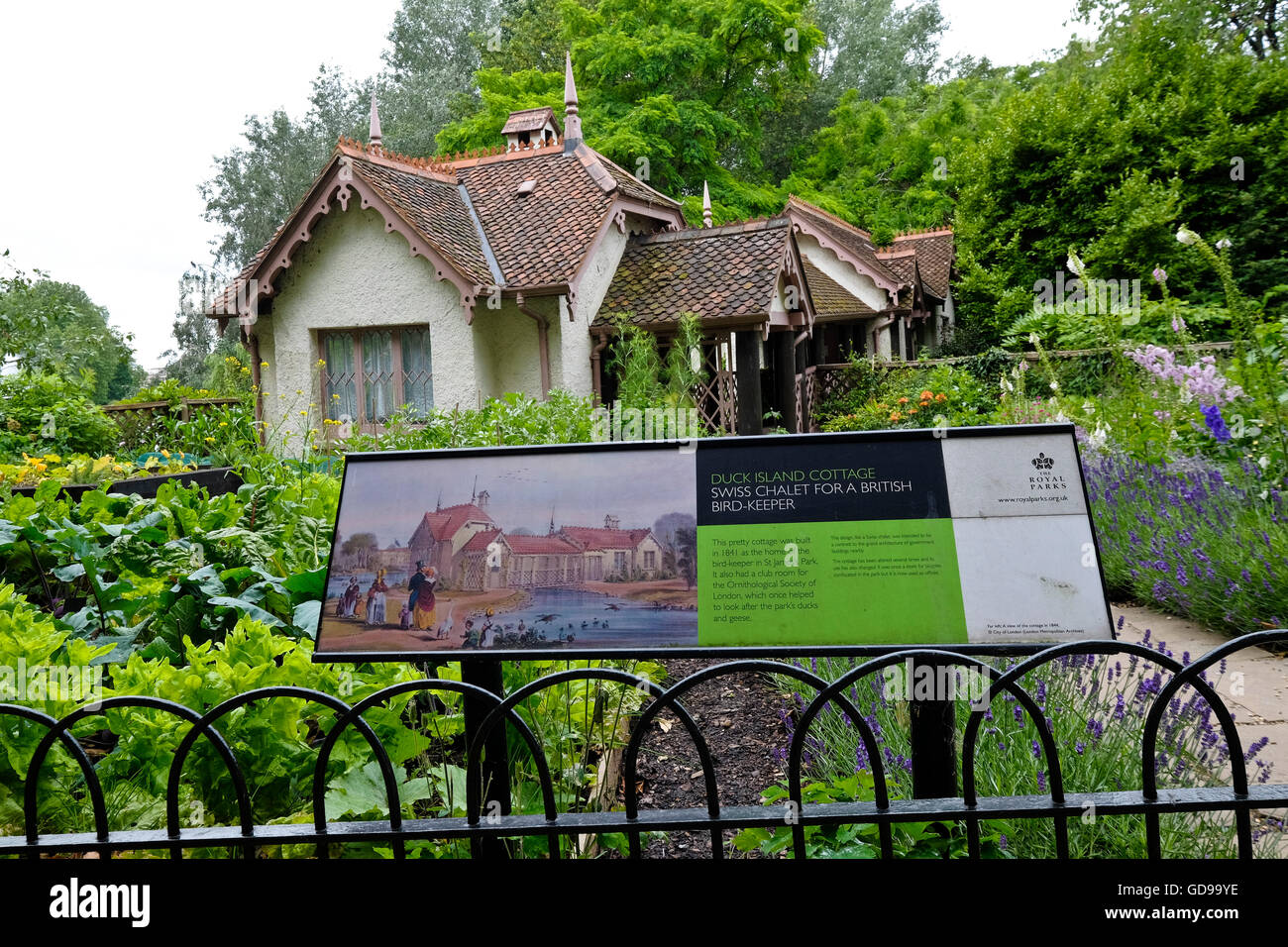 Duck island hi-res stock photography and images - Alamy