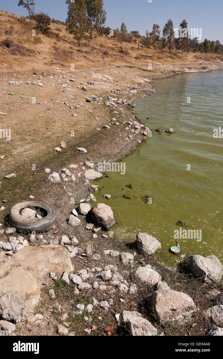 Polluted water in a dam in Mexico Stock Photo - Alamy