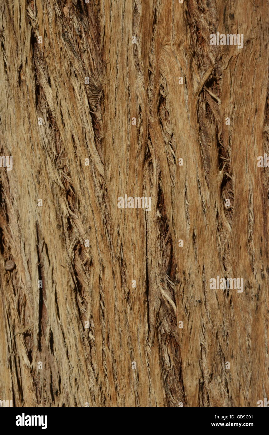 wood, wooden, abstract, backdrop, background, board, brown, carpentry ...