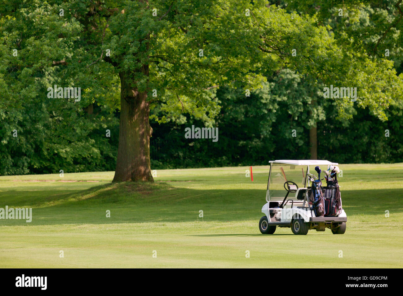 Buggy driver hi-res stock photography and images - Alamy