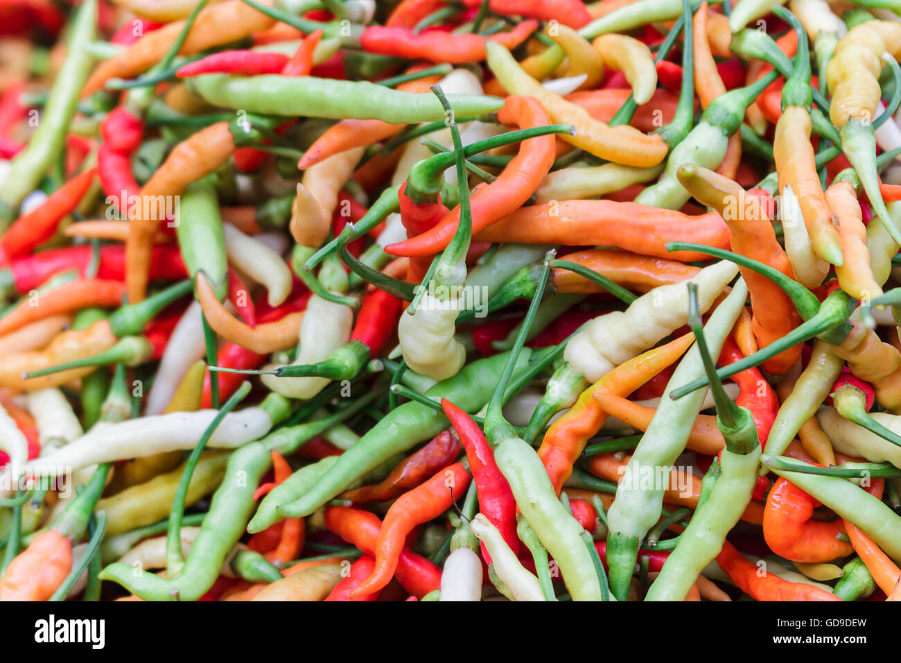 Pepper is an important component of food Thailand Stock Photo - Alamy