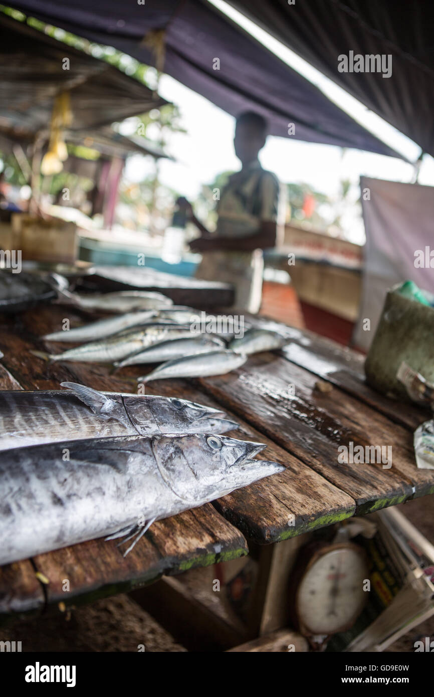 Fish market in Galle, Sri Lanka, shot in the morning Stock Photo - Alamy