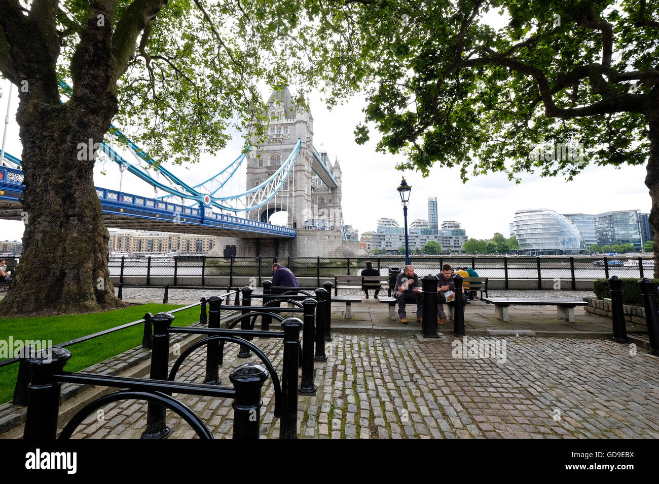 Victoria Embankment under the oak trees with Tower Bridge and the ...