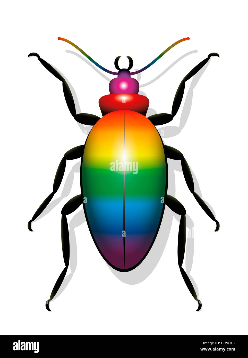 Rainbow colored beetle - illustration on white background Stock Photo ...