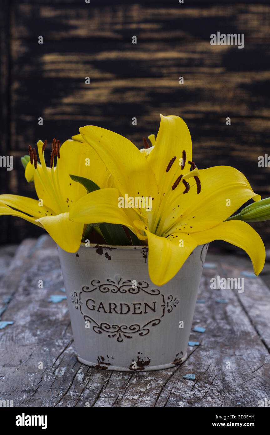 Bouquet of yellow lilies in an iron bucket Stock Photo - Alamy