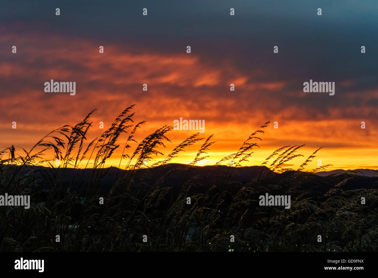 Sunset taken at Mount Tolmie in Victoria, BC, Canada Stock Photo - Alamy