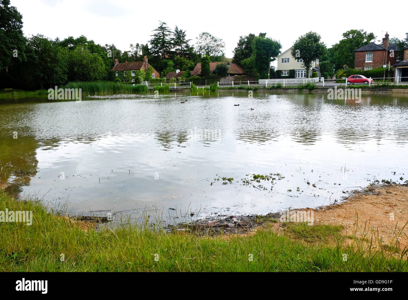 Shenfield common hi-res stock photography and images - Alamy