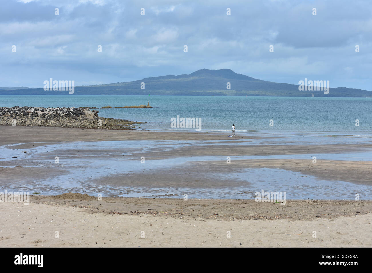View of Rangitoto volcano island from Castor bay Stock Photo - Alamy