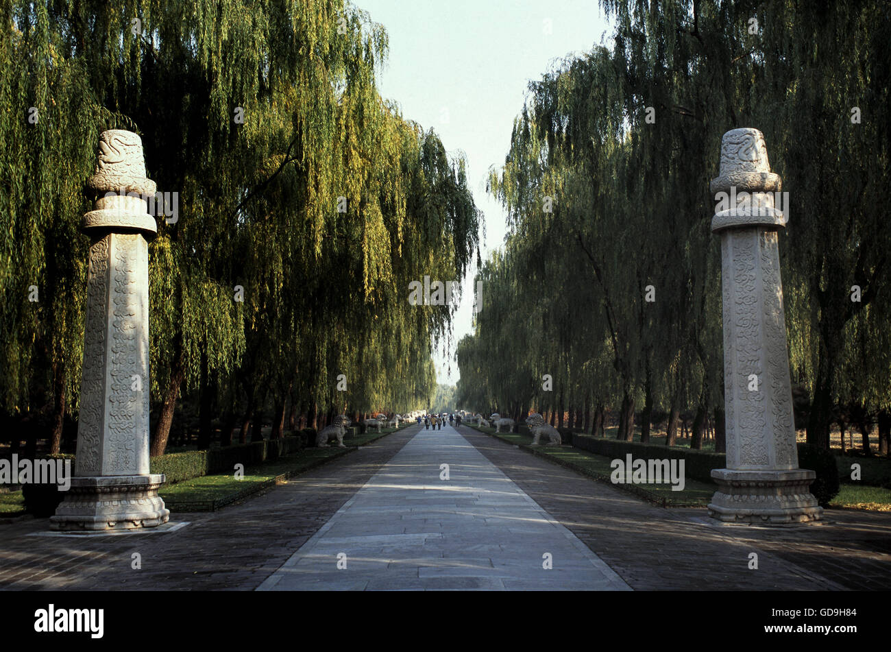 The Sacred Way runs for about a kilometer and is flanked on both sides ...