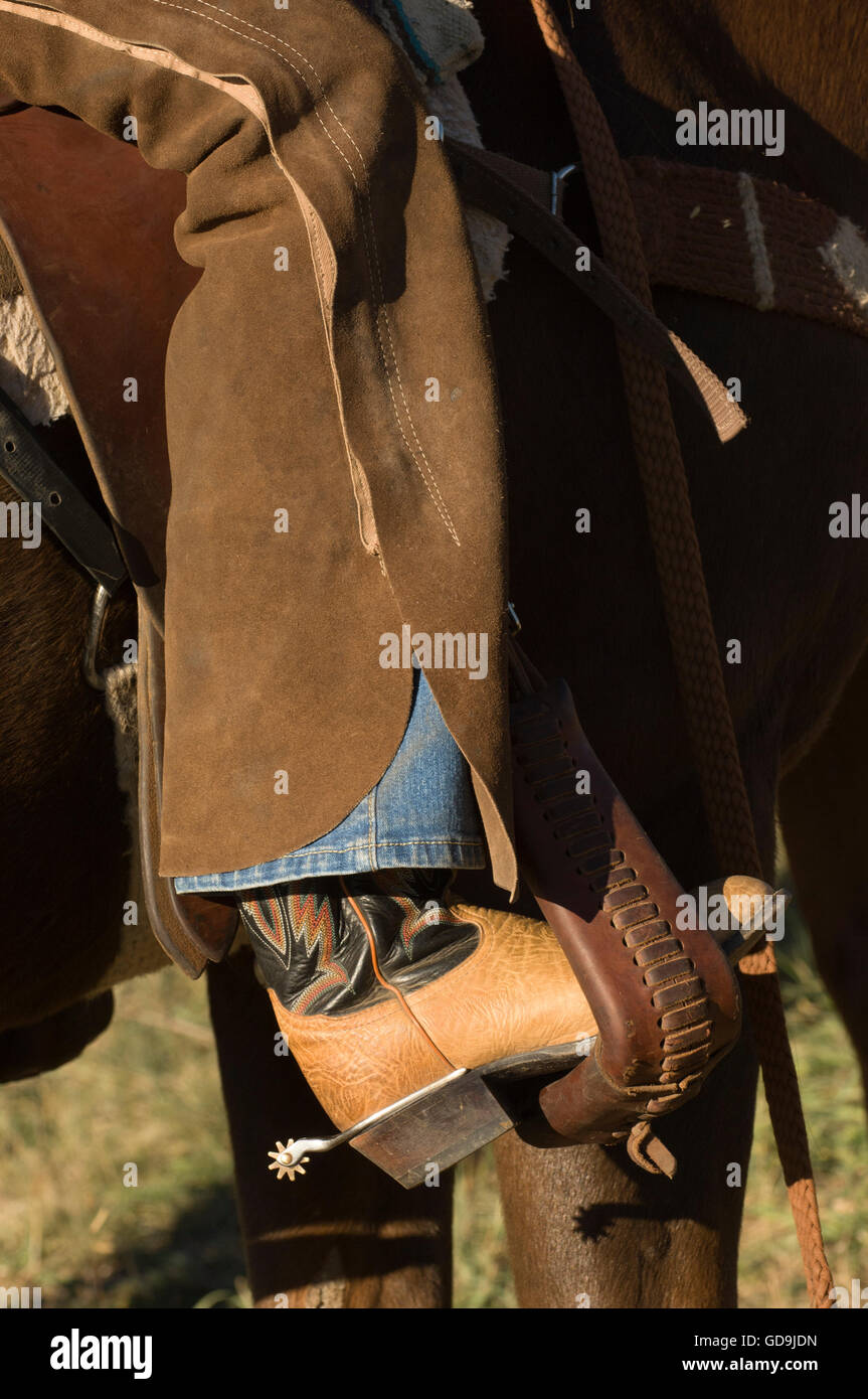 Cowboy's leg, detail at Bison Roundup, Custer State Park, Black Hills ...
