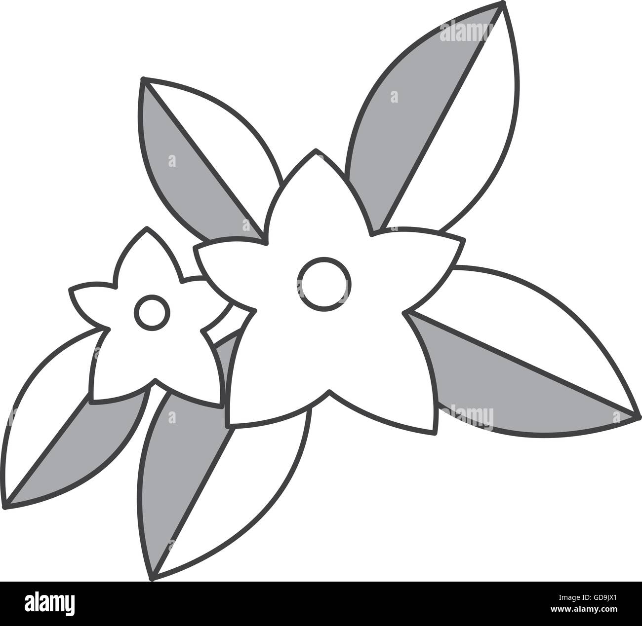 jasmine flowers icon Stock Vector Image & Art - Alamy