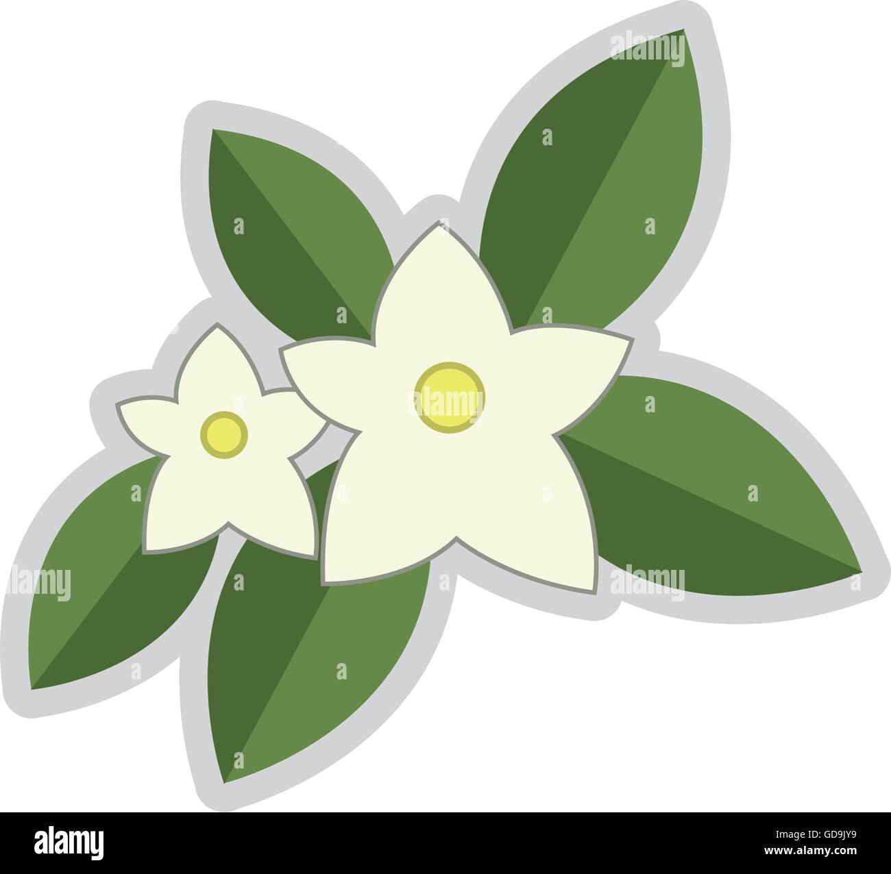 jasmine flowers icon Stock Vector Image & Art - Alamy