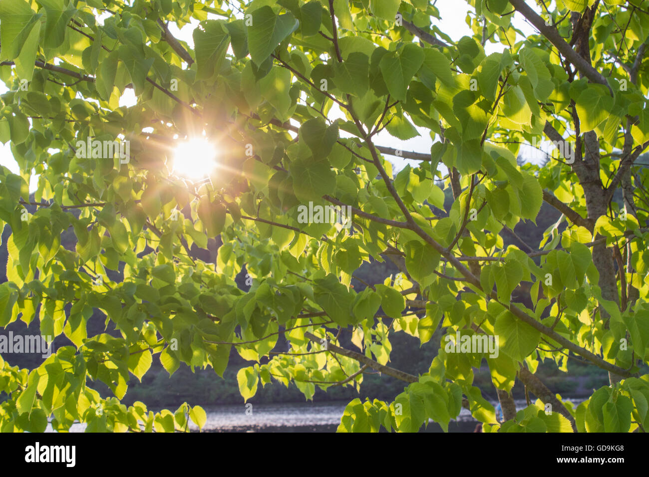 Connecticut sunset hi-res stock photography and images - Alamy