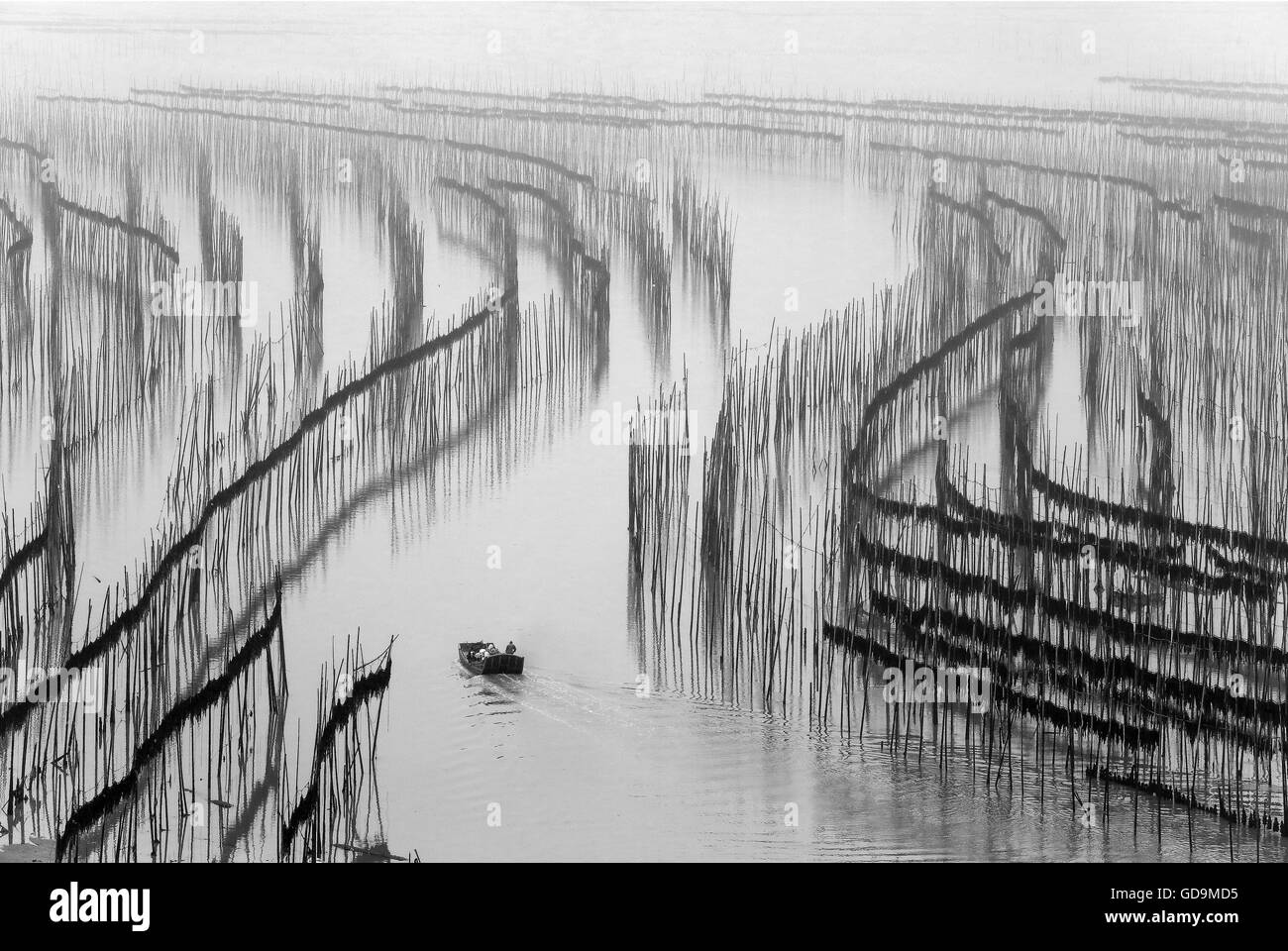 Beauty of Xiapu, Ningde City, Fujian Province, China Stock Photo - Alamy