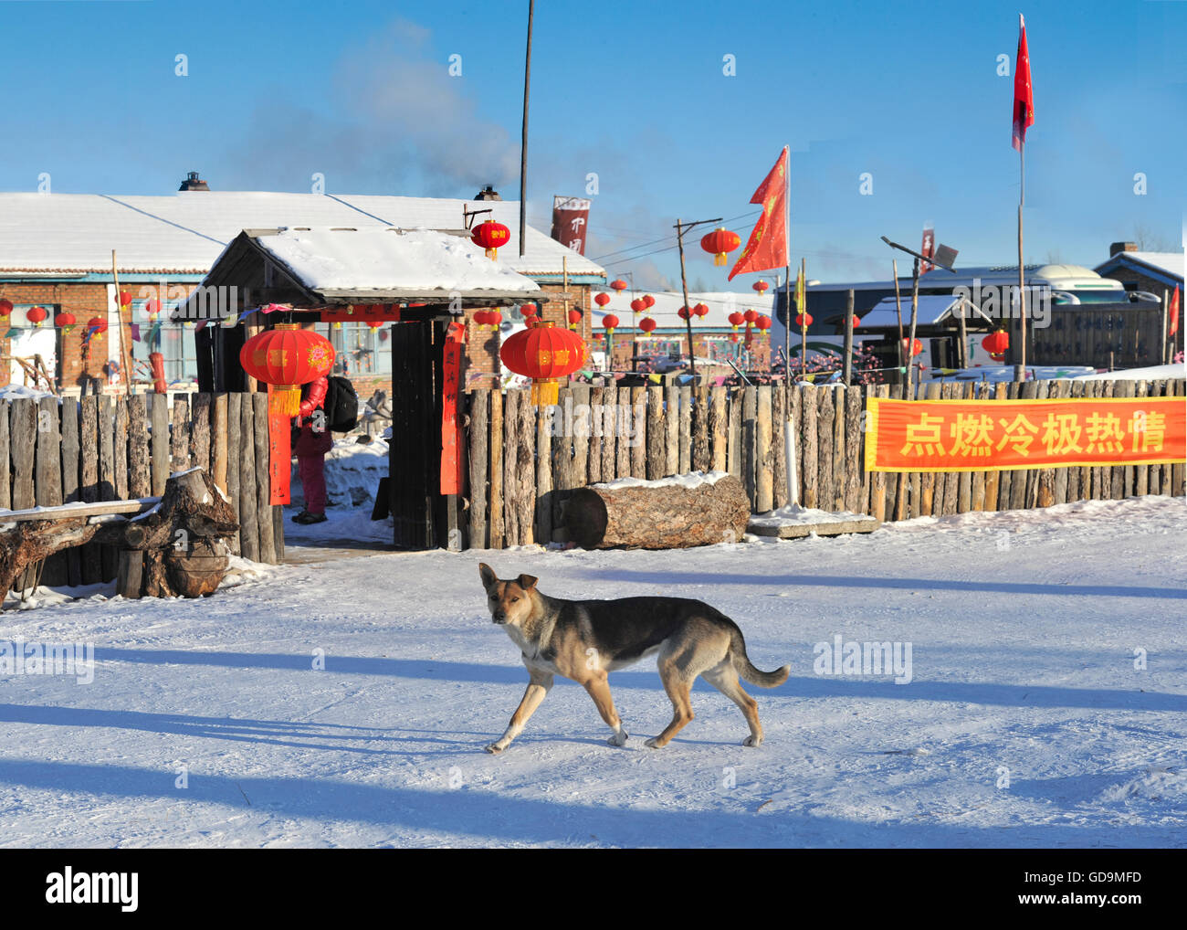 Arctic village, Genhe City, Inner Mongolia Hulun Bei Lovell Stock Photo ...