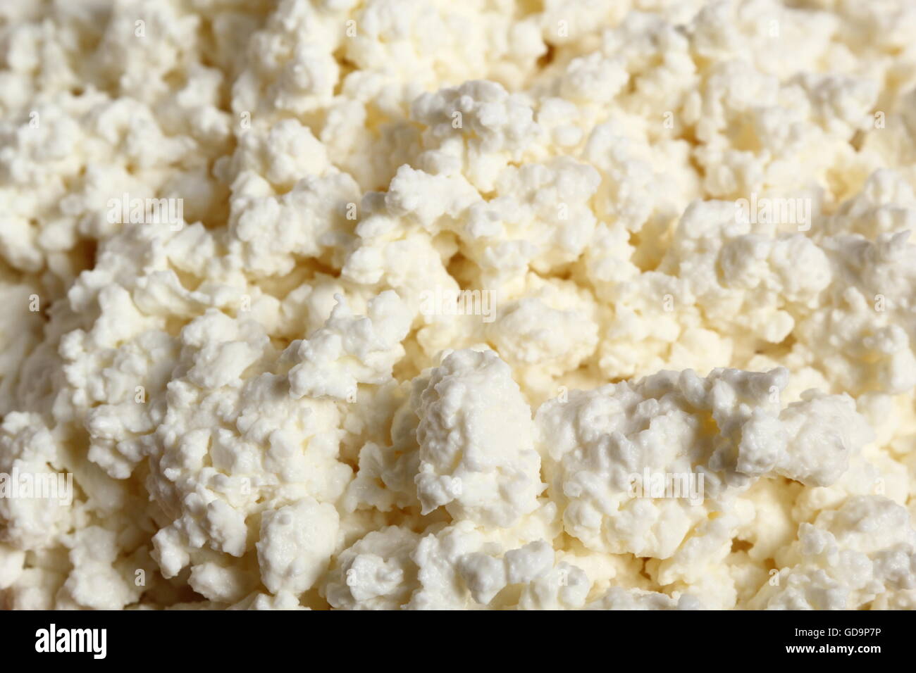 Cottage cheese texture hi-res stock photography and images - Alamy