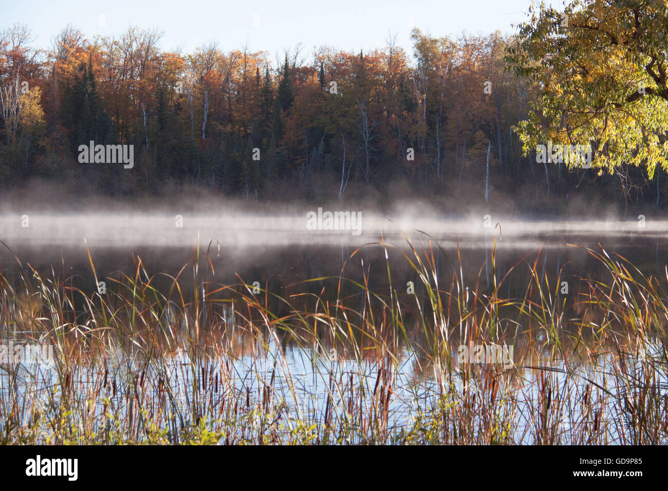 Rabideau hi-res stock photography and images - Alamy