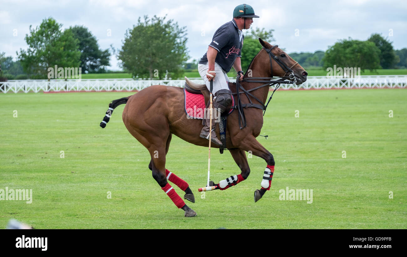 Dallas burston polo hi-res stock photography and images - Alamy