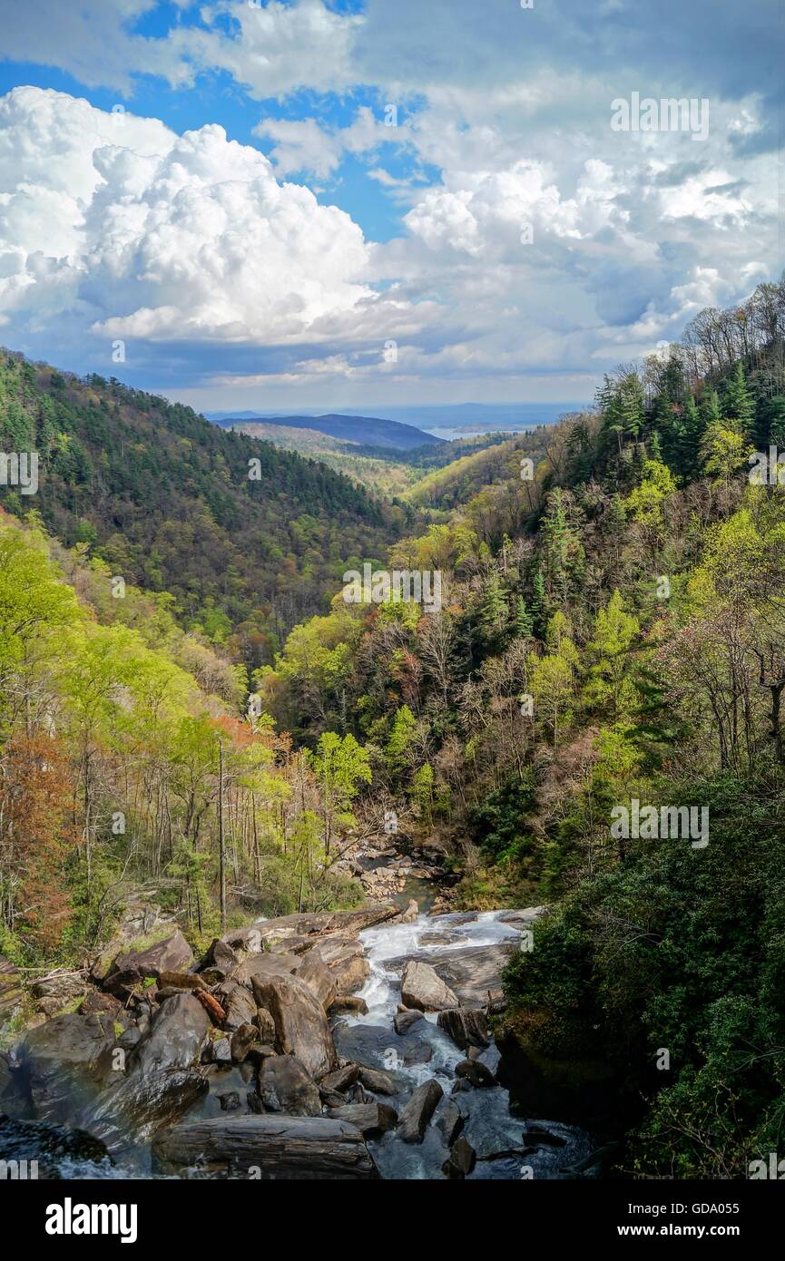 Whitewater Falls, North Carolina, USA Stock Photo - Alamy