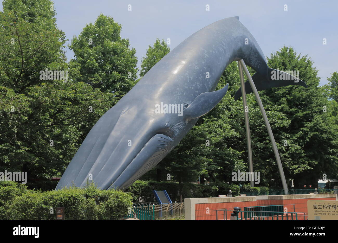 Whale statue in Ueno Park Tokyo Japan Stock Photo - Alamy