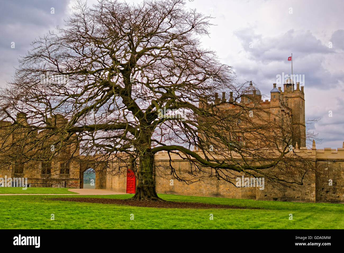 Tree - Castle Stock Photo - Alamy