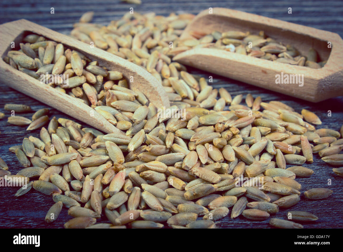 Vintage photo, Heap of organic whole rye grain with wooden spoon lying ...