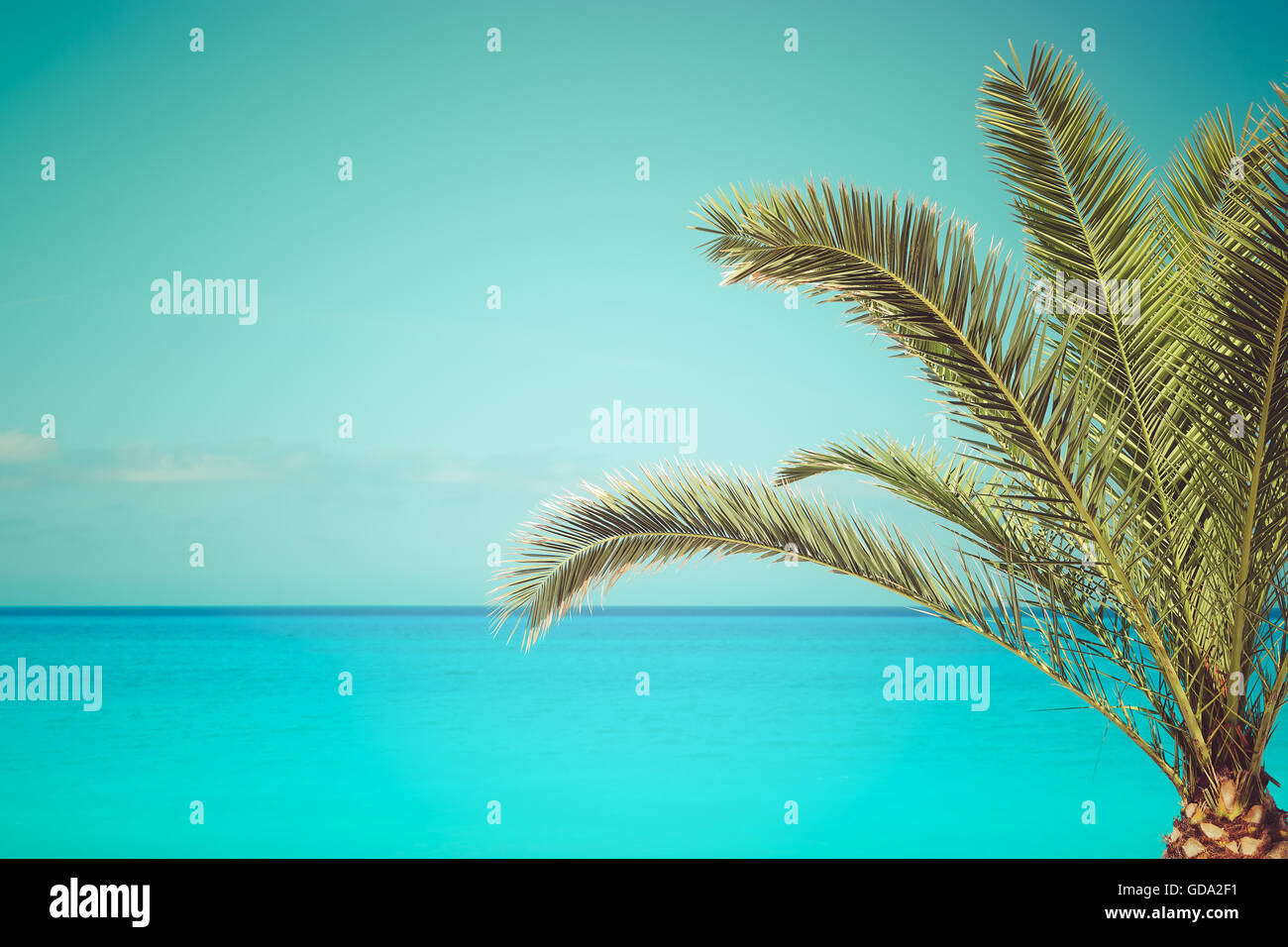 Palm tree blue sea hi-res stock photography and images - Alamy