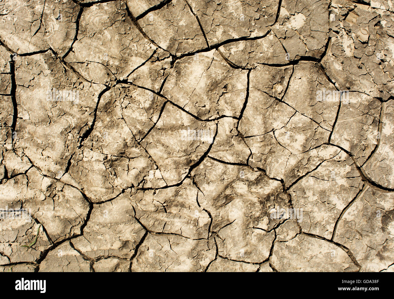 Dry cracked earth background, clay desert texture Stock Photo - Alamy