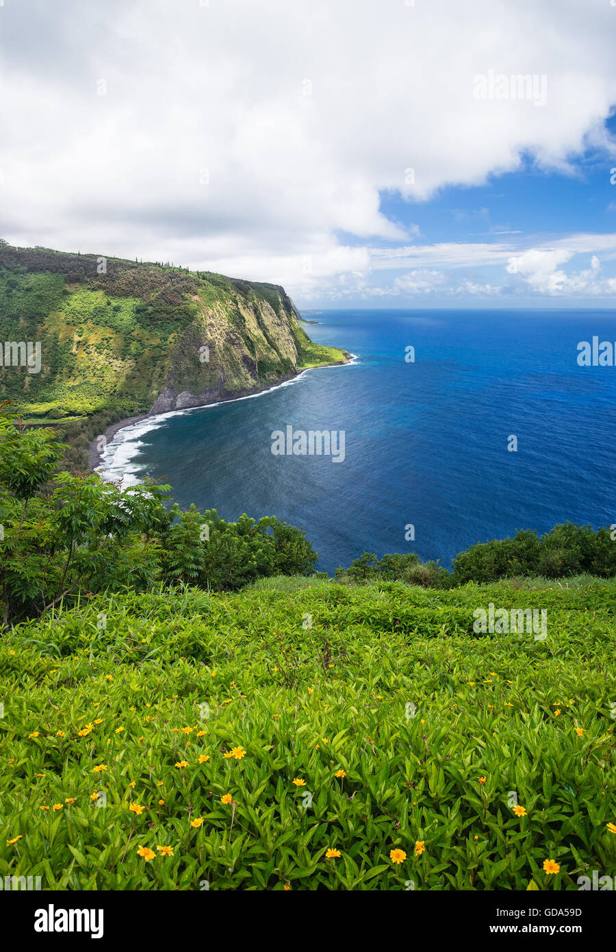 Waipio Valley Lookout view on Big Island, Hawaii Stock Photo - Alamy