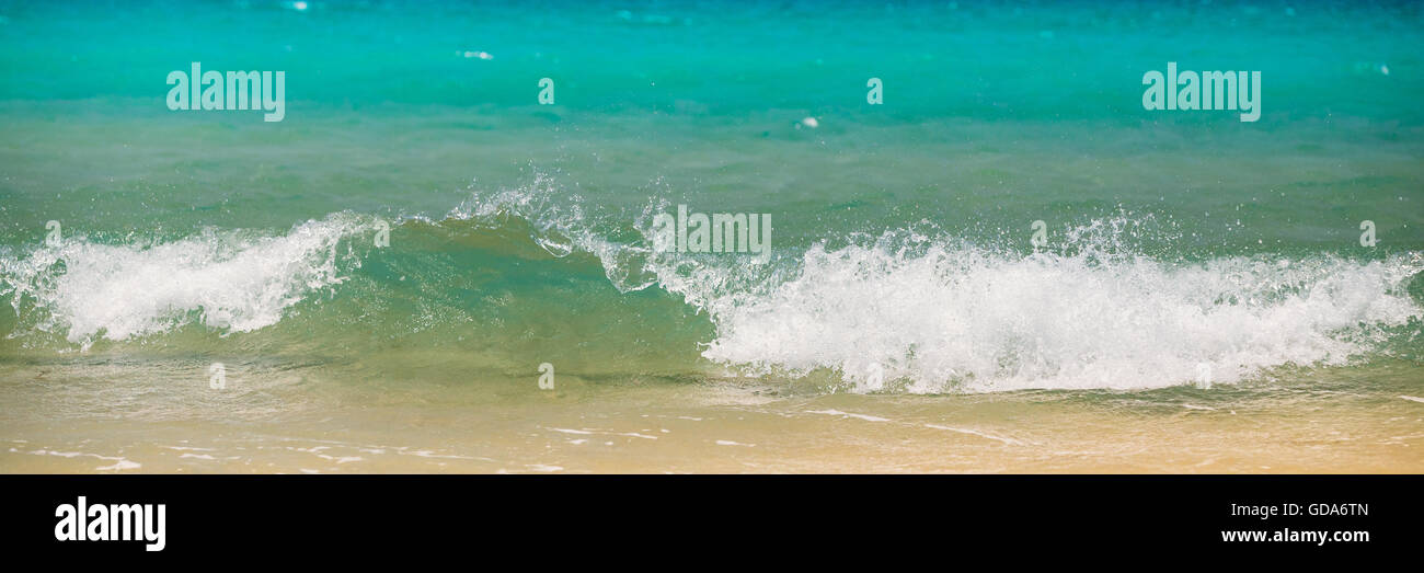 Fresh Sea Ocean Waves washing yellow sand background Stock Photo - Alamy